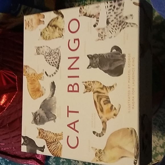 Magma | Toys | Cat Bingo Game | Poshmark
